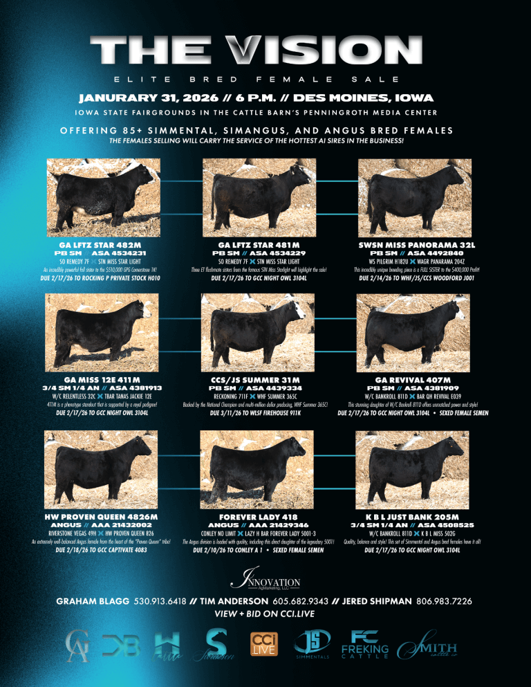 The Vision Elite Bred Heifer Sale | Innovation AgMarketing, LLC