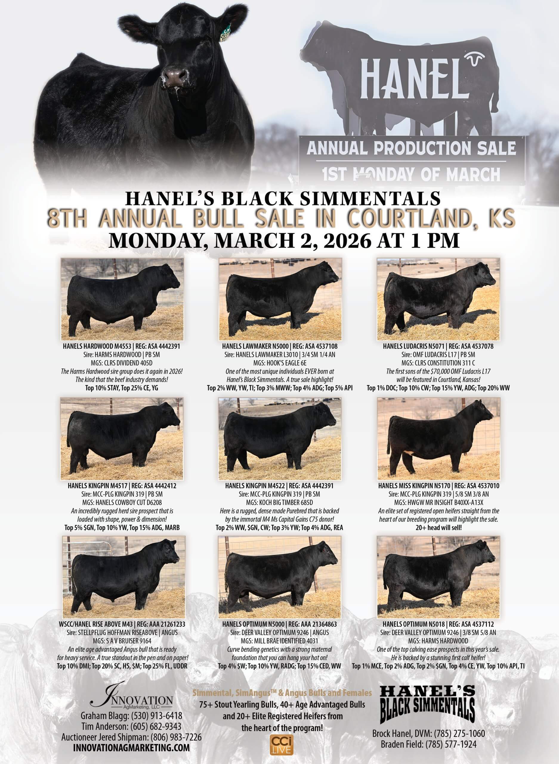Hanel's Black Simmentals 8th Annual Bull Sale | Innovation AgMarketing, LLC