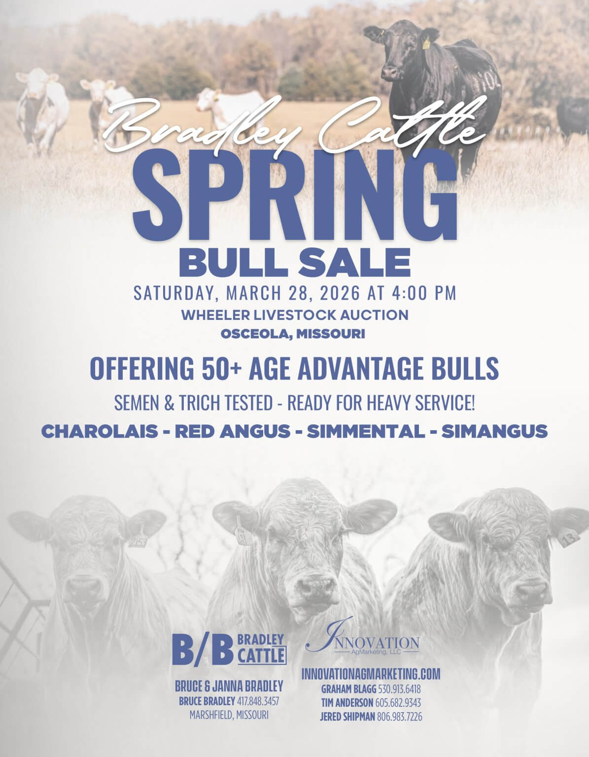 Bradley Cattle Company Spring Bull Sale | Innovation AgMarketing, LLC